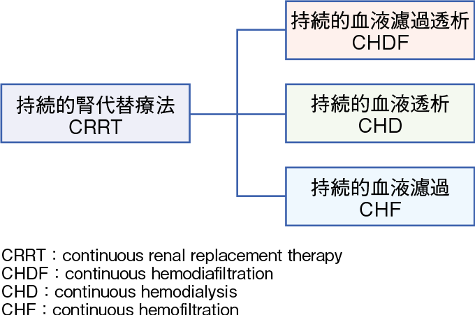 持続的血液濾過透析（CHDF）| ICUでの血液浄化療法 | 看護roo![カンゴルー]