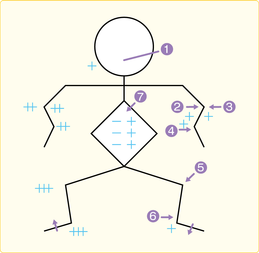 Images of チャドック反射 - JapaneseClass.jp